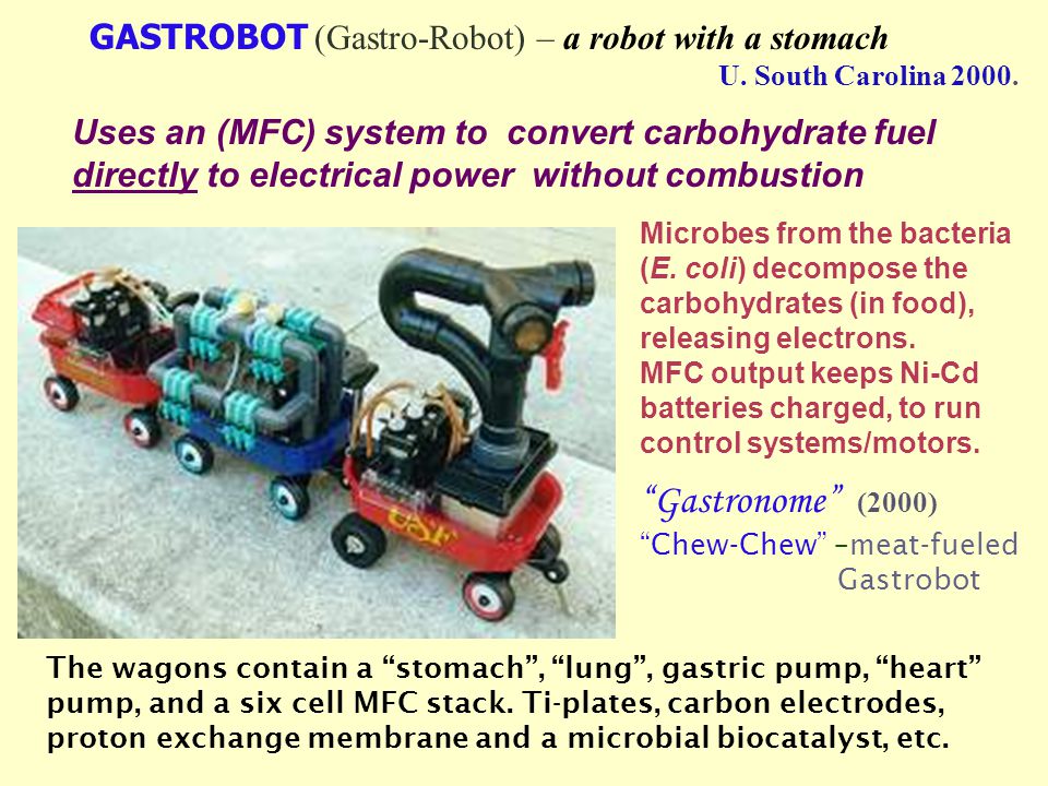 Robot Stomachs: Powering Machines With Garbage and Urine – London TechWatch